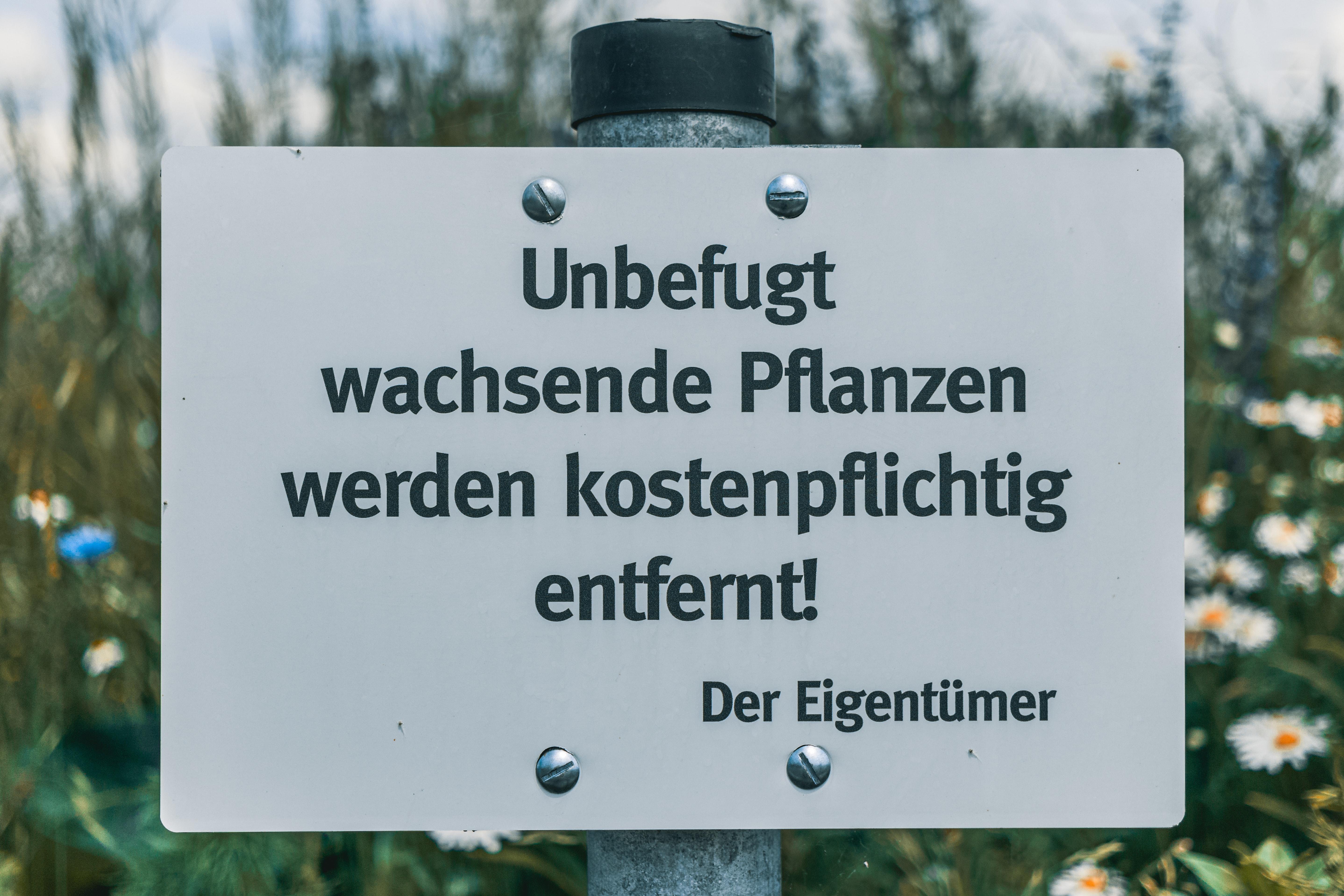 Hvordan lære tysk grammatikk? | Superprof